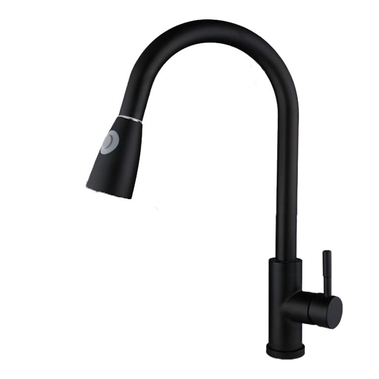 Contemporary Spray Kitchen Faucet Pulldown Sprayer Bridge Faucet