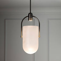Unique Shape Contemporary Hanging Light Fixture with Glass Shade for D