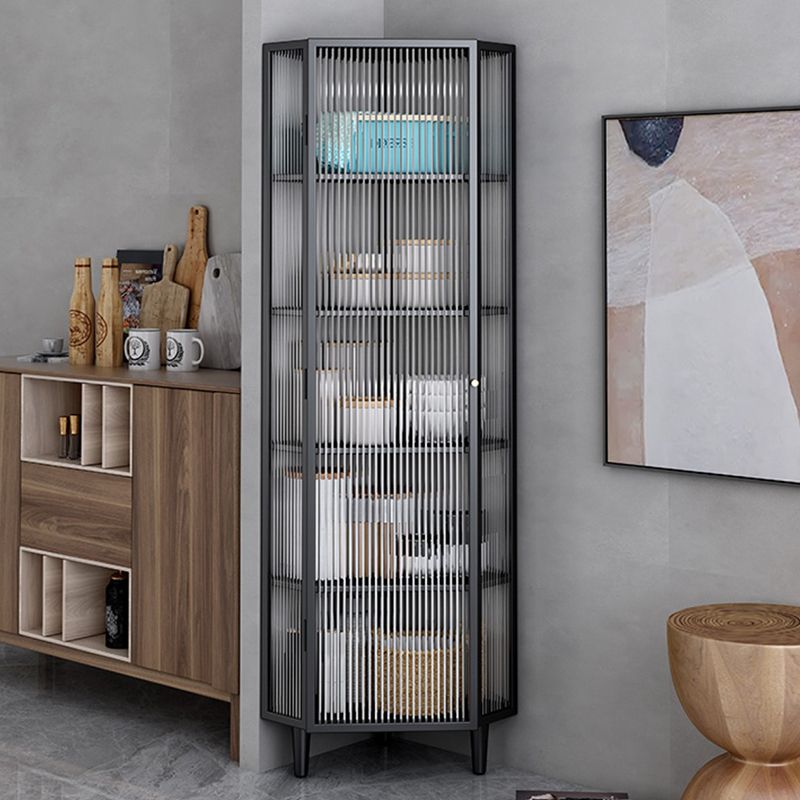 Contemporary Metal Curio Cabinet Corner Unit Display Cabinet with Door