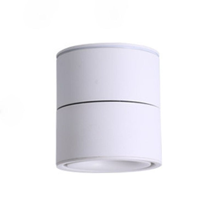Mini LED Surface Mounted Ceiling Lamp Nordic Modern Adjustable Indoor
