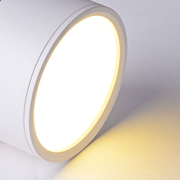 Mini LED Surface Mounted Ceiling Lamp Nordic Macaron Adjustable Indoor