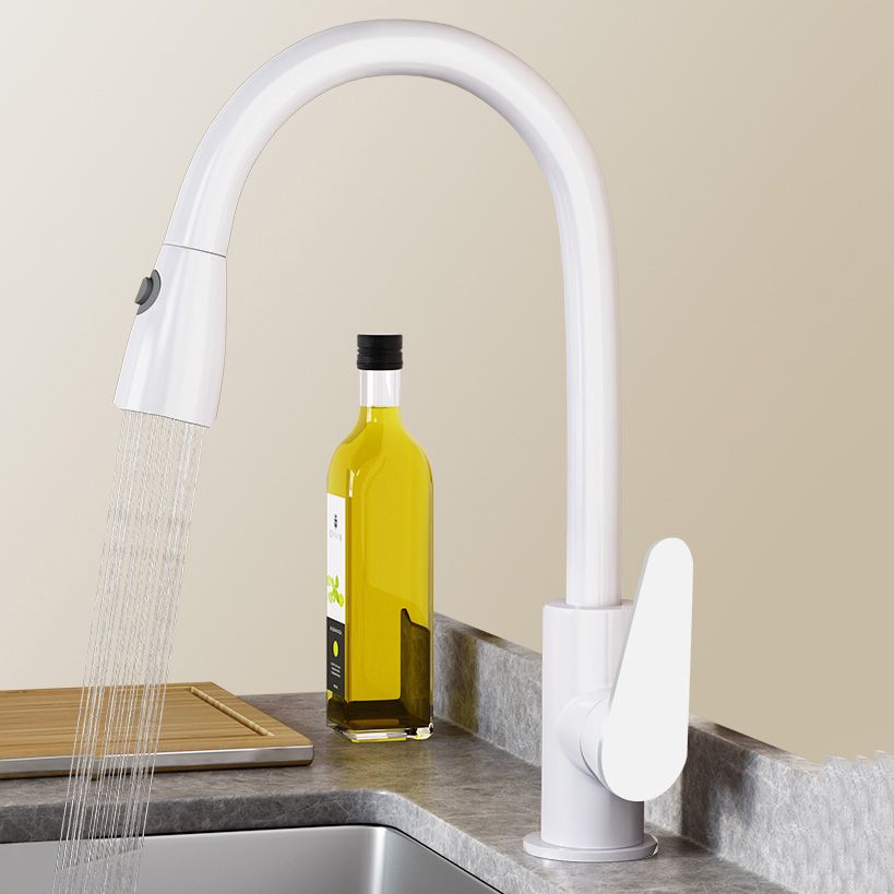 Contemporary Swivel Spout Standard Kitchen Faucet with Pull Down Spray