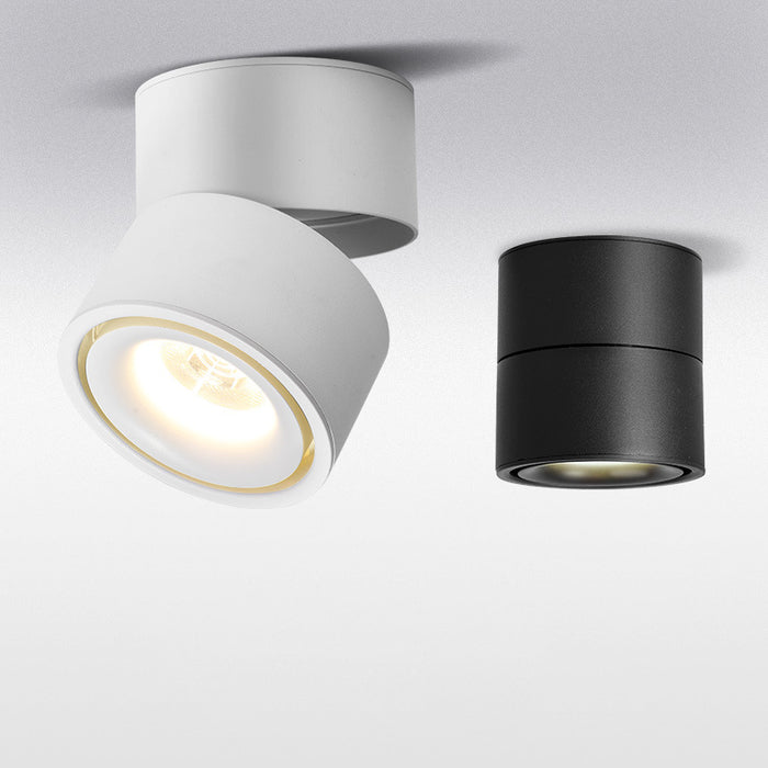 Mini LED Surface Mounted Ceiling Lamp Nordic Modern Adjustable Indoor