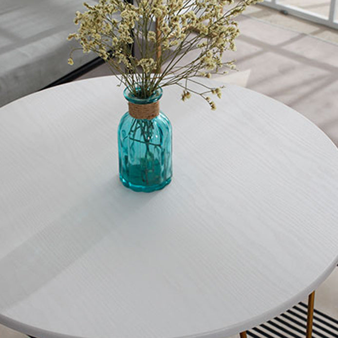 Contemporary 3 Legs Metal End Table Round Side End Table for Living Ro